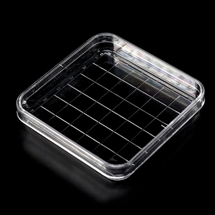 Square Grid Petri Dish – Mycologos